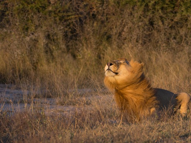 Directions and Map - Getting there | Londolozi Game Reserve