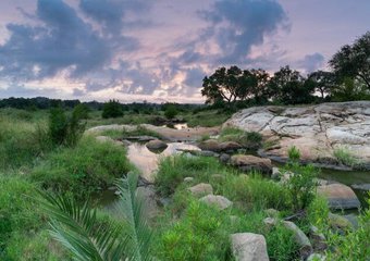 Directions and Map - Getting there | Londolozi Game Reserve