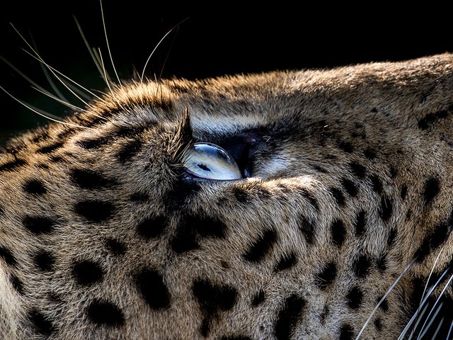 Directions and Map - Getting there | Londolozi Game Reserve